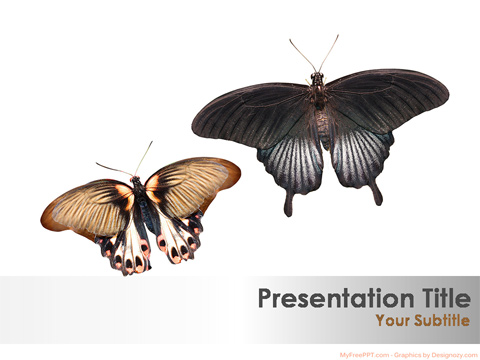 Free Butterfly PowerPoint Templates - MyFreePPT.com