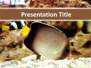 Free Fish PowerPoint Template - Download Free PowerPoint PPT