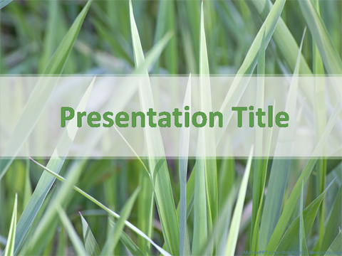 Green Field PowerPoint Template - Download Free PowerPoint PPT