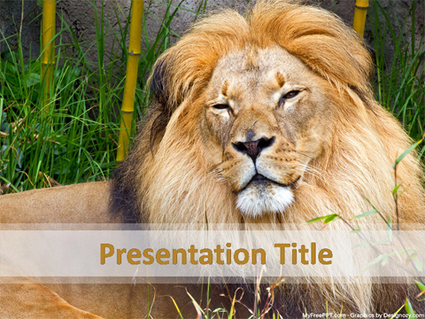 Free Lion PowerPoint Templates - MyFreePPT.com