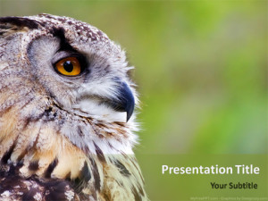 Free Owl PowerPoint Template - Download Free PowerPoint PPT