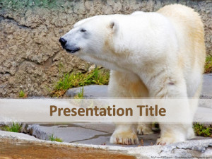 Free Polar Bear PowerPoint Templates - MyFreePPT.com