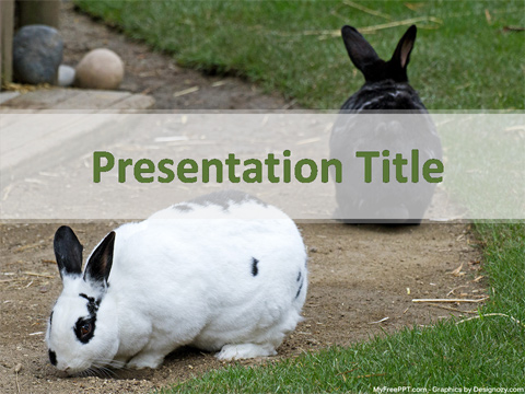 Free Rabbits PowerPoint Template - Download Free PowerPoint PPT