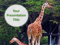 Free Giraffe PowerPoint Template - Download Free PowerPoint PPT