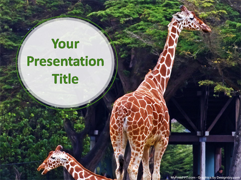 Free Giraffe PowerPoint Template - Download Free PowerPoint PPT