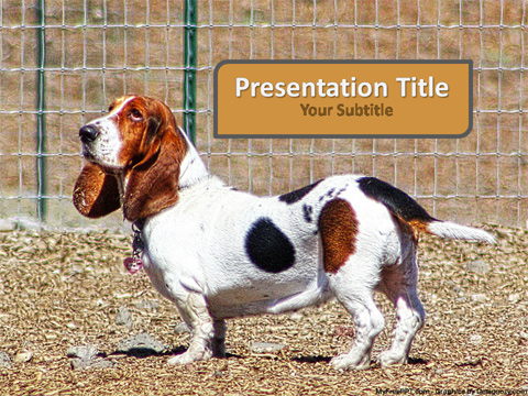 Free Dog PowerPoint Templates - MyFreePPT.com