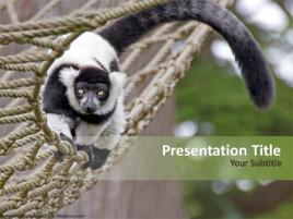 Free Alligator PowerPoint Template - Download Free PowerPoint PPT