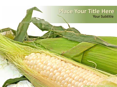 Free Corn PowerPoint Templates - MyFreePPT.com