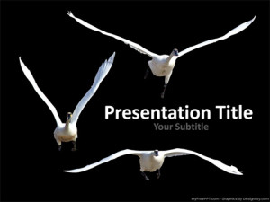 Free Flying Birds PowerPoint Template - Download Free PowerPoint PPT