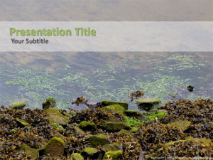Free Lake PowerPoint Template - Download Free PowerPoint PPT