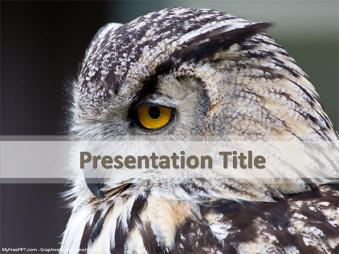Owl PowerPoint Template - Download Free PowerPoint PPT