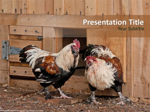 Free Chicken PowerPoint Templates - MyFreePPT.com