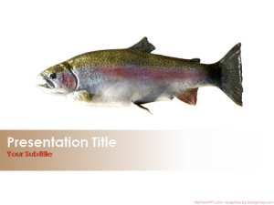 Free Salmon Fish PowerPoint Template - Download Free PowerPoint PPT