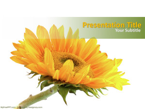 Free Sunflower PowerPoint Templates - MyFreePPT.com