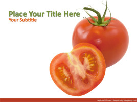 Free Tomato PowerPoint Templates - MyFreePPT.com