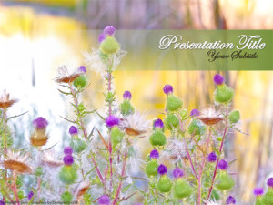 Free Wild Flowers PowerPoint Template - Download Free PowerPoint PPT