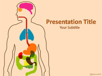 Free Human Anatomy PowerPoint Template - Download Free PowerPoint PPT