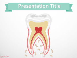 Free Tooth Anatomy PowerPoint Template - Download Free PowerPoint PPT