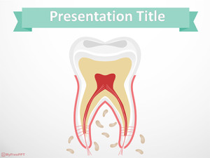 Free Tooth Anatomy PowerPoint Template - Download Free PowerPoint PPT