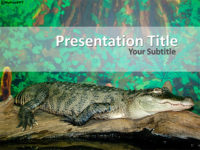 Free Alligator PowerPoint Template - Download Free PowerPoint PPT