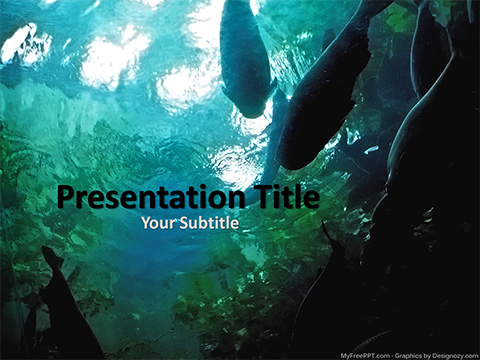 Free Aquatic PowerPoint Templates - MyFreePPT.com