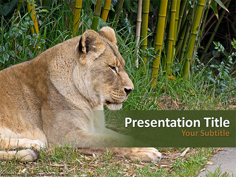 Free Endangered Species PowerPoint Templates - MyFreePPT.com