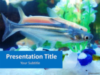 Free Fishes Inside Aquarium PowerPoint Template - Download Free ...