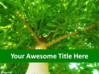 Free Green Tree PowerPoint Template - Download Free PowerPoint PPT