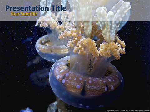 Free Alligator PowerPoint Template - Download Free PowerPoint PPT