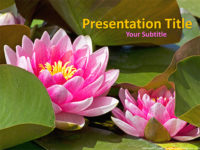 Free Lotus Flowers PowerPoint Template - Download Free PowerPoint PPT