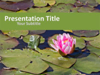 Free Lotus PowerPoint Templates - MyFreePPT.com