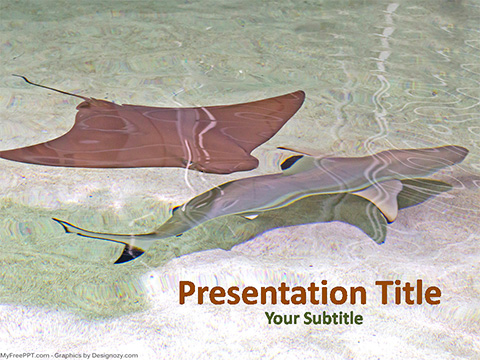 Free fish PowerPoint Templates - MyFreePPT.com