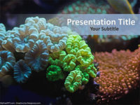 Free Underwater PowerPoint Templates - MyFreePPT.com