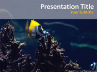 Free Marine Life PowerPoint Templates - MyFreePPT.com