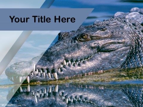 Free Crocodile PowerPoint Templates - MyFreePPT.com