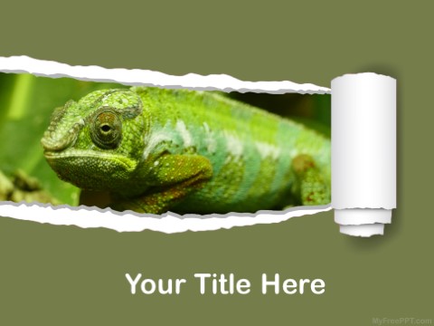 Free chameleon PowerPoint Templates - MyFreePPT.com