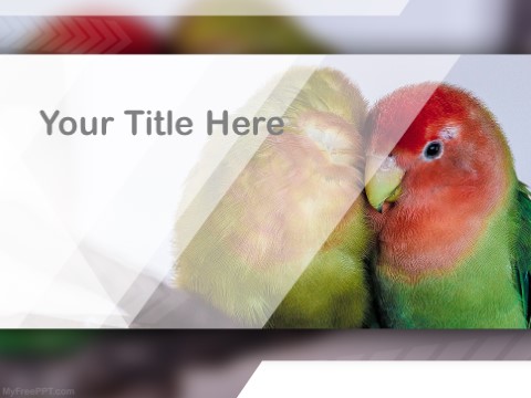 Free Birds PowerPoint Templates - MyFreePPT.com