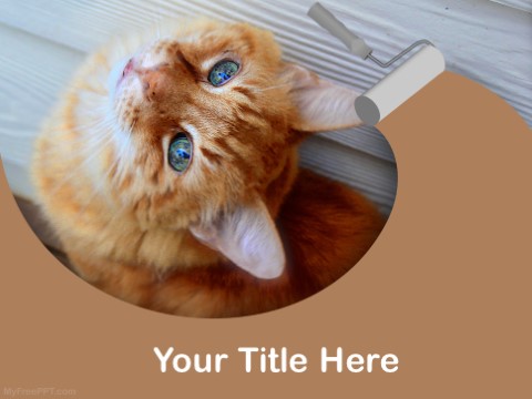 Free Cat PowerPoint Templates - MyFreePPT.com