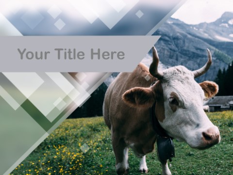 Free Ram Goat PPT Template - Download Free PowerPoint PPT