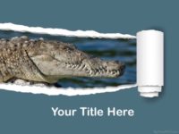 Free Reptile PowerPoint Templates - MyFreePPT.com