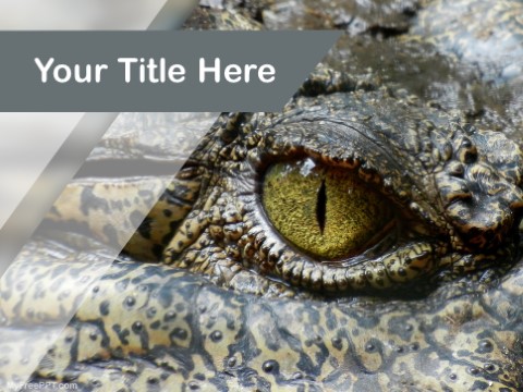 Free Crocodile PowerPoint Templates - MyFreePPT.com