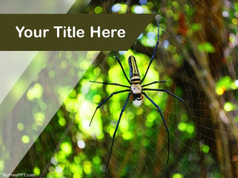 Free Spider PowerPoint Templates - MyFreePPT.com