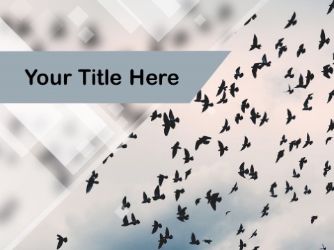 Free Freedom PPT Template - Download Free PowerPoint PPT