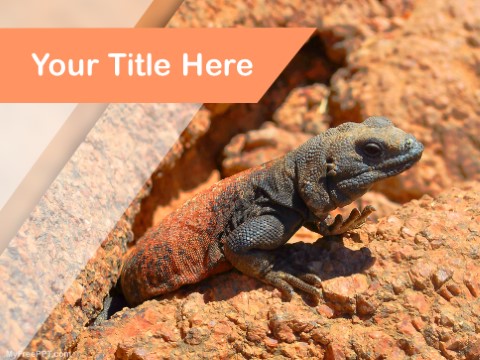 Free Alligator PowerPoint Template - Download Free PowerPoint PPT