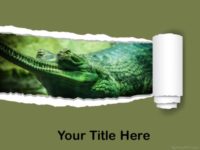 Free Crocodile PowerPoint Templates - MyFreePPT.com