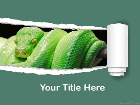 Free Snake PowerPoint Templates - MyFreePPT.com