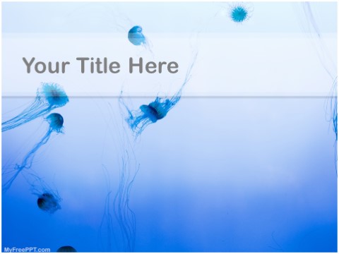Free JellyFish PowerPoint Templates - MyFreePPT.com
