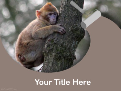 Free Monkey Ppt Template Download Free Powerpoint Ppt