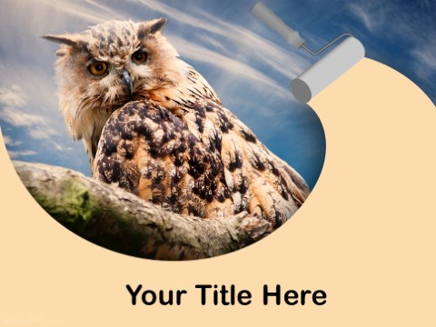 Free Owl PowerPoint Templates - MyFreePPT.com