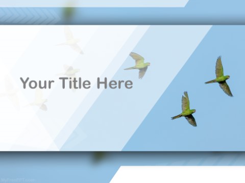 Free Birds PowerPoint Templates - MyFreePPT.com